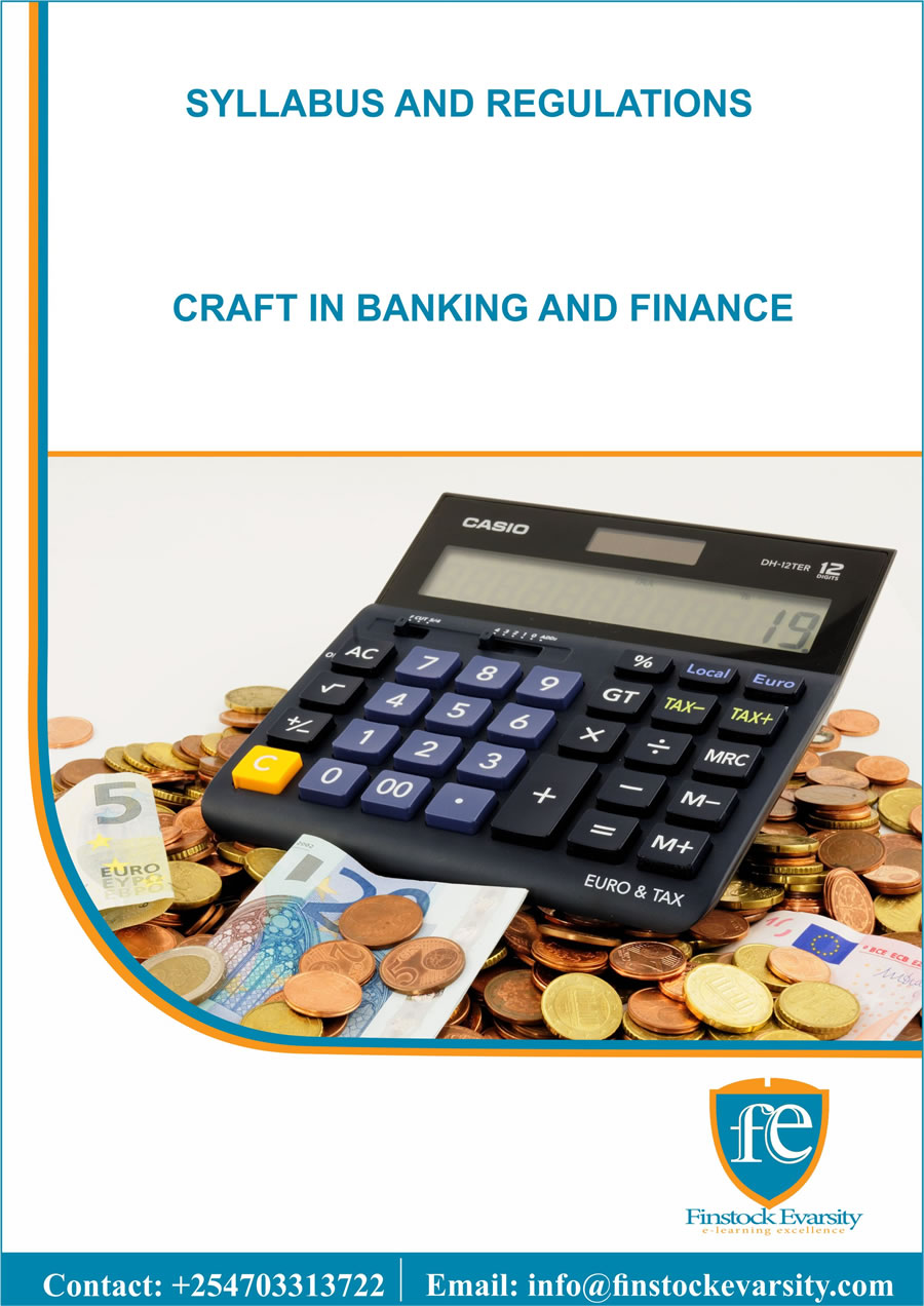 Curriculum for Craft in Banking and Finance Hard Copy - Finstock ...