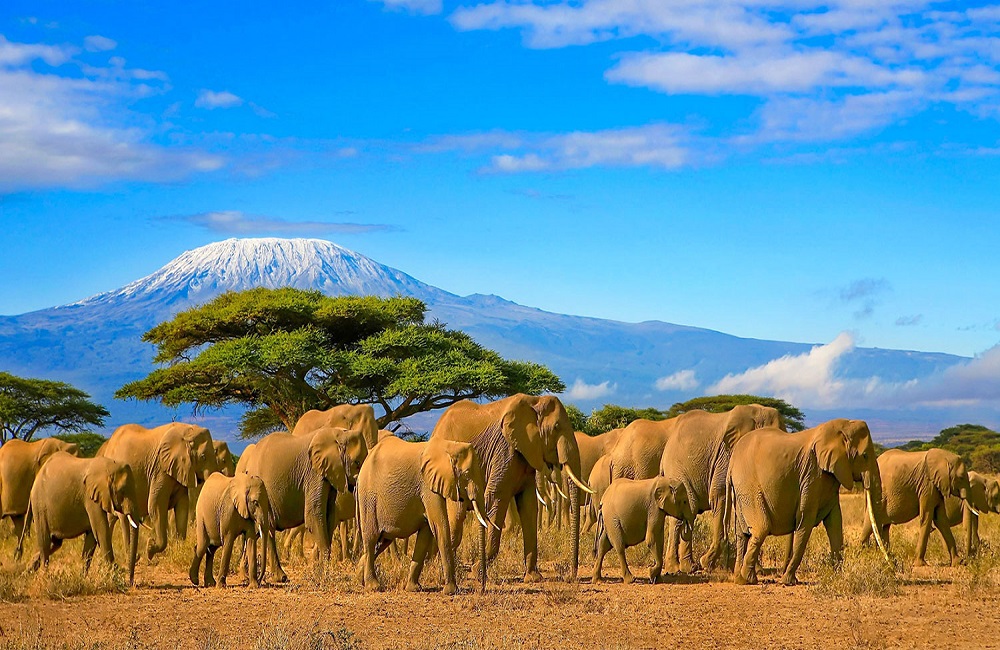 5 Most Amazing Sceneries to Visit in Kenya - Finstock Evarsity Resources