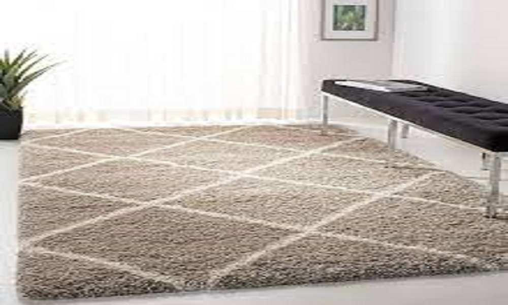 Three Types of Carpets in Modern Days - Finstock Evarsity Resources