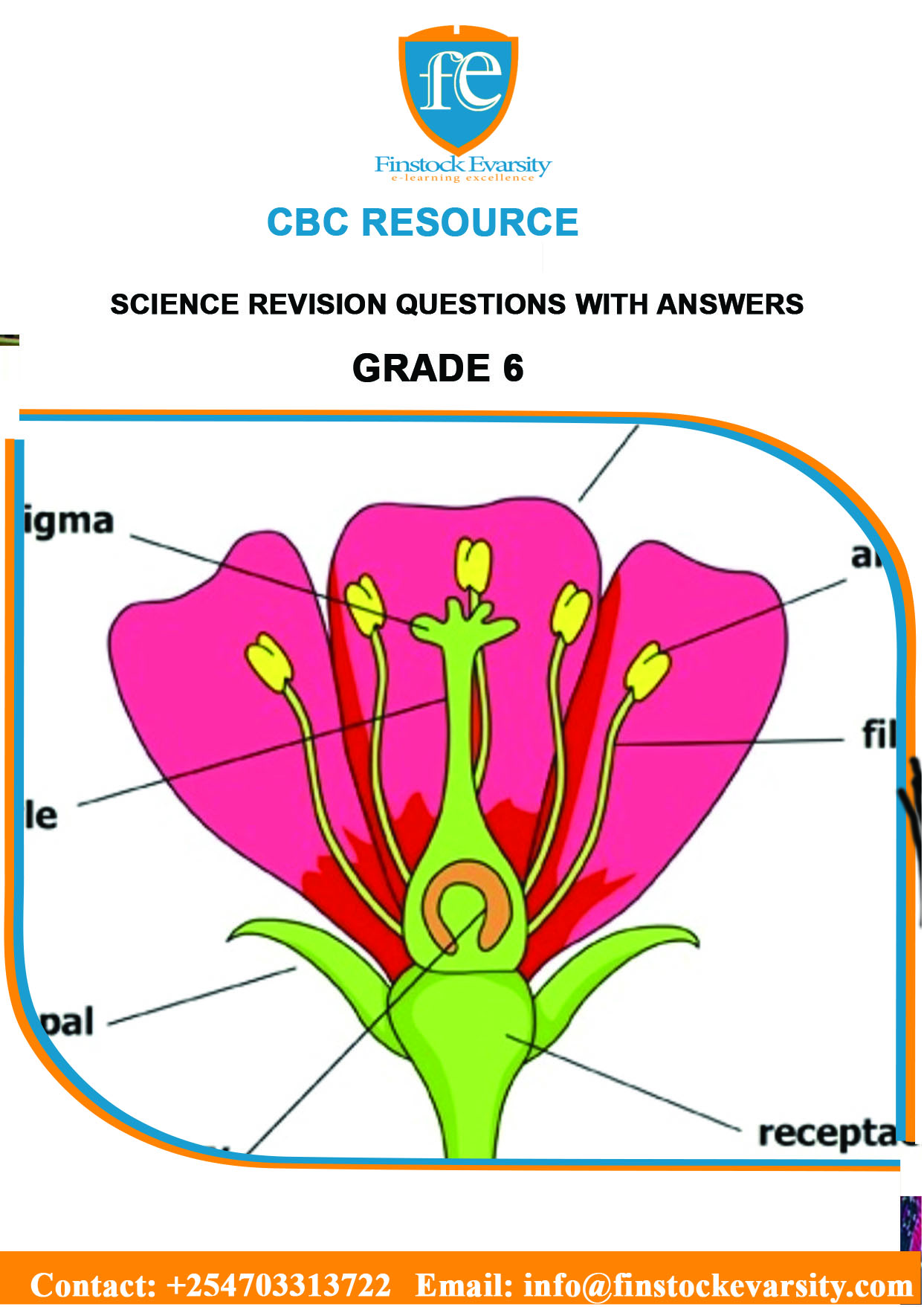 Grade 6 Science Term 2 Set 1 - Finstock Evarsity Resources