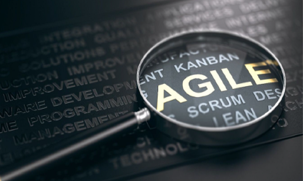 The Rise of Agile Management: Pioneering Success in a Dynamic World ...