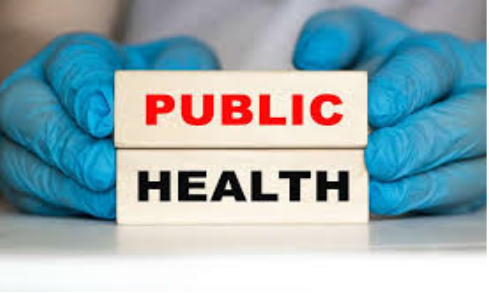 Online Certificate in Public Health Kenya: Study While You Work ...